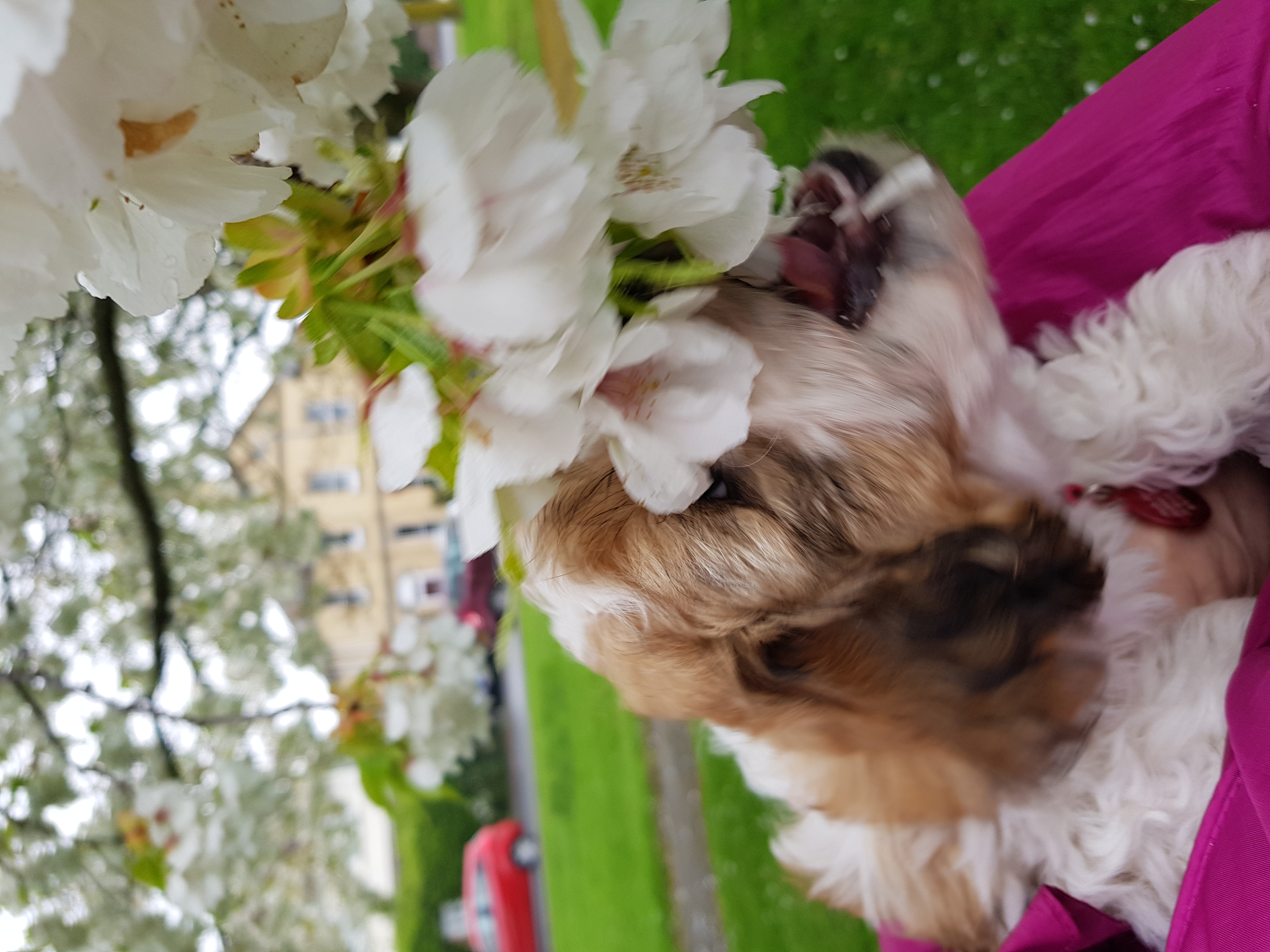 Goal-less therapy ~ goal-less life – Kaspa Thompson